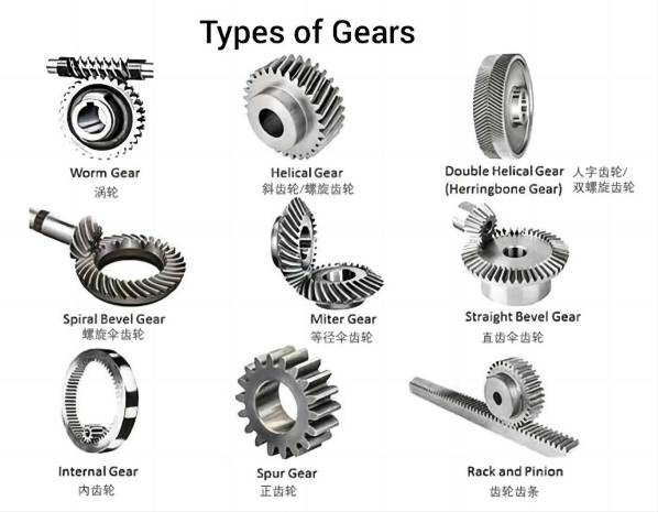 Ingranaggi Del Processo