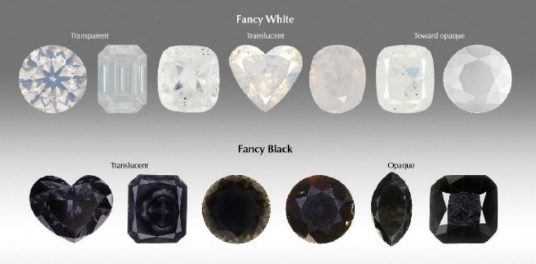 Translucent and Transparent Materials: Choosing the Best Option